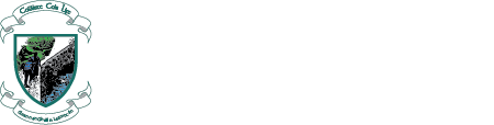 An Coláiste – Coláiste Cois Life